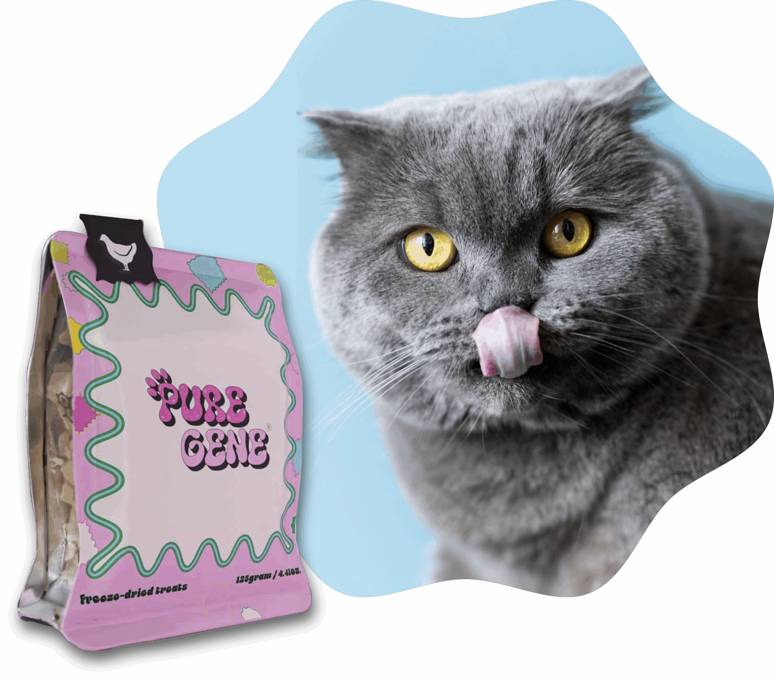 Raw Pet Food, Treats & Kittens Shop & Grooming in Qatar - Pure Gene